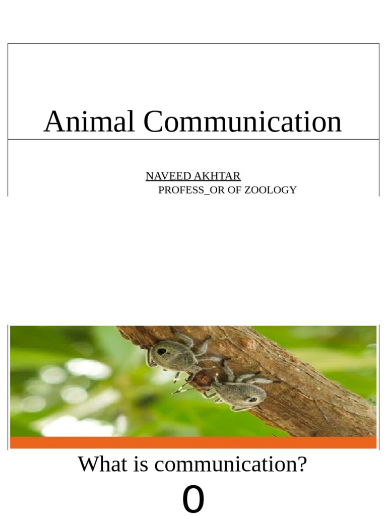 Communication in Animals 254233710 | PDF | Pheromone | Communication