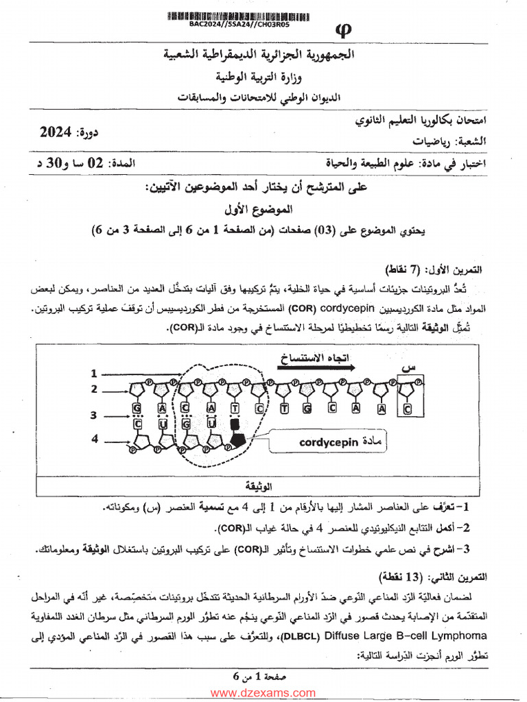 Bio Bac 2024 | PDF