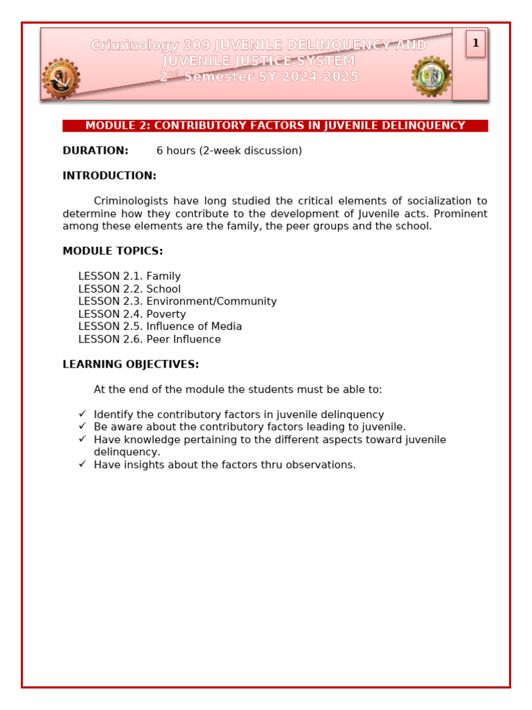 MODULE-2 (2) | PDF | Juvenile Delinquency | Family
