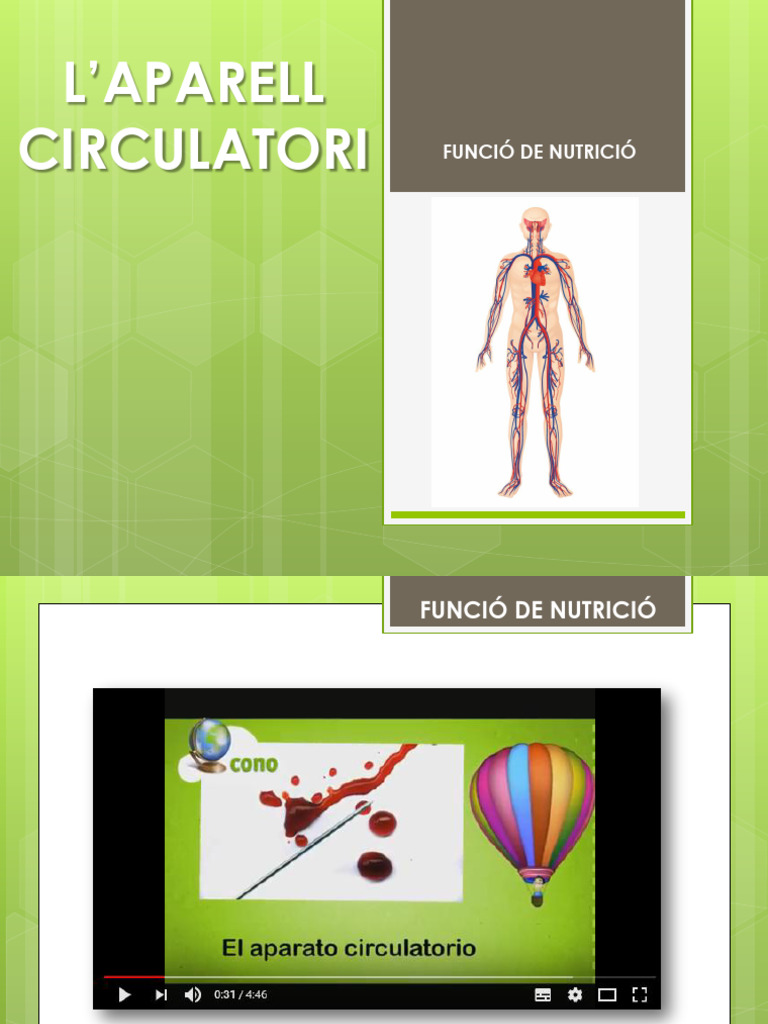 L'aparell Circulatori | PDF