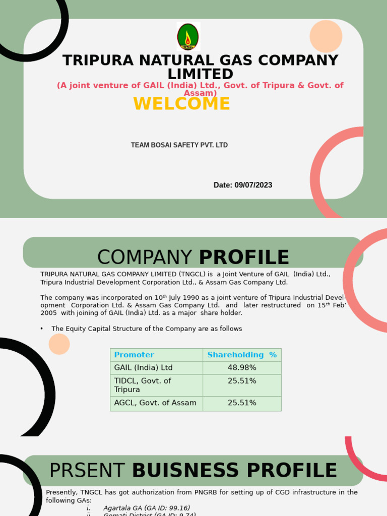 PresentationTNGCL - BSPL | PDF | Fossil Fuels | Natural Gas