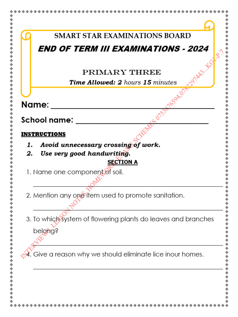 Primary Three Literacy Exam 2024 | PDF | Plants | Leaf