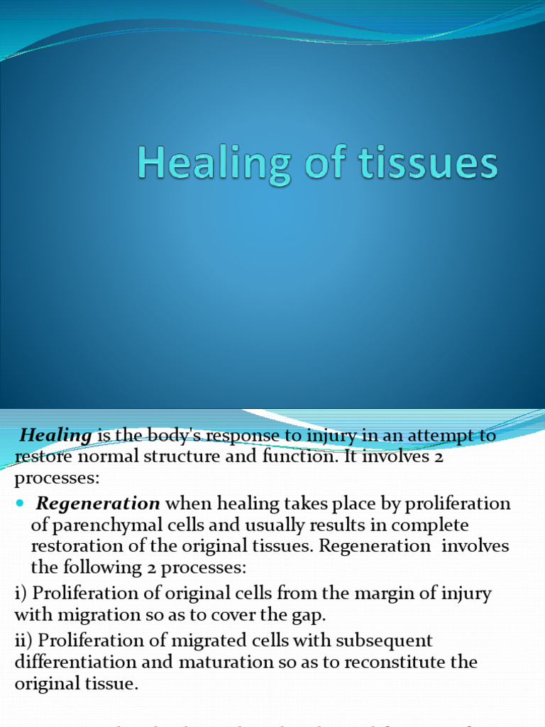 Healing of Tissues - Revision | PDF | Wound Healing | Bone