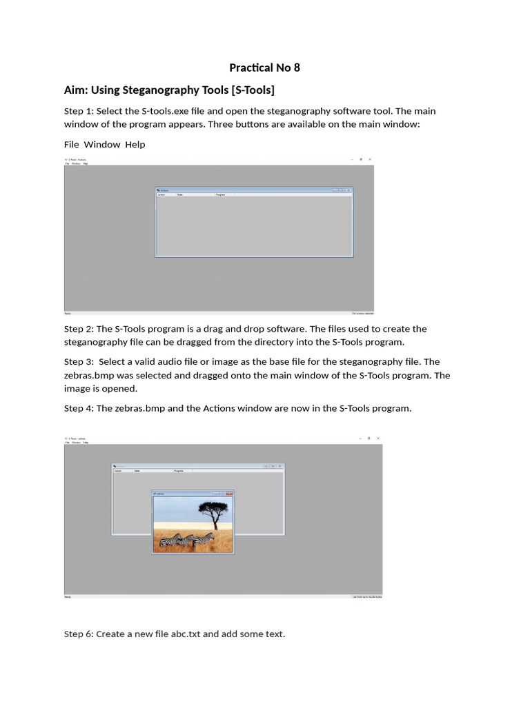 Practical No 8 Aim: Using Steganography Tools (S-Tools) : Step 6: Create A New File Abc - TXT ...