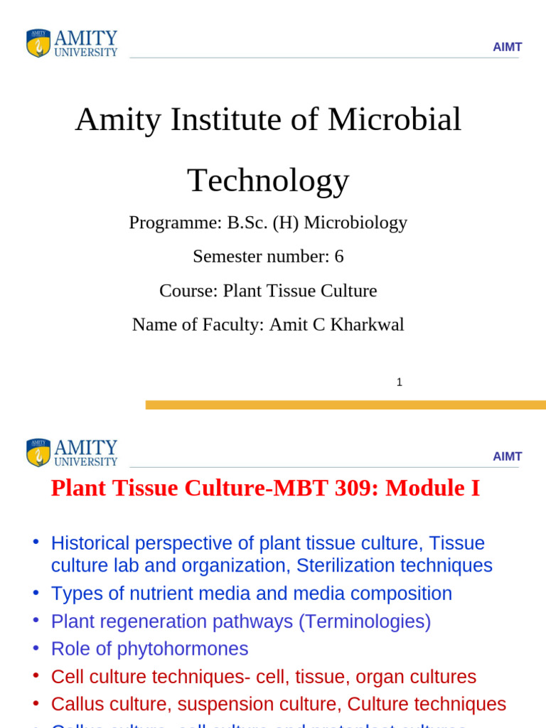 Plant Tissue Culture Techniques Overview | PDF | Embryo | Cell Biology