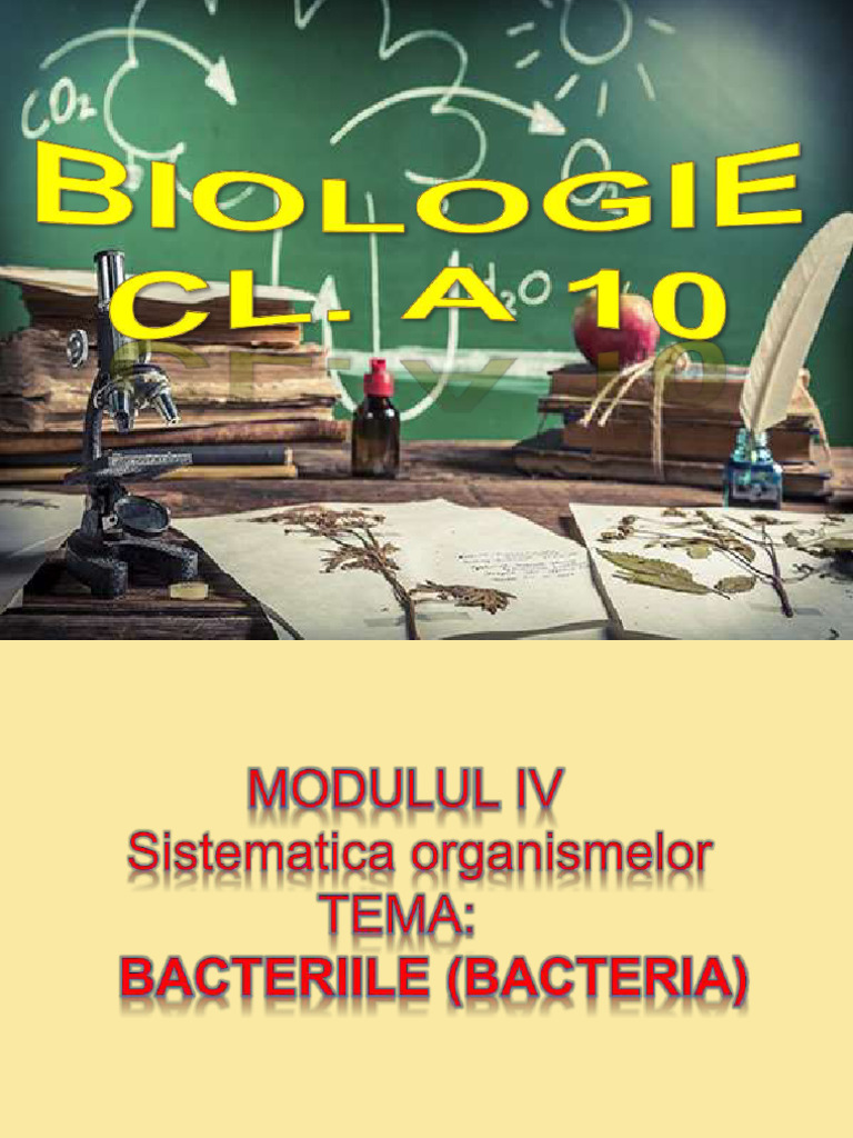 Regnul Monera Bacterii | PDF