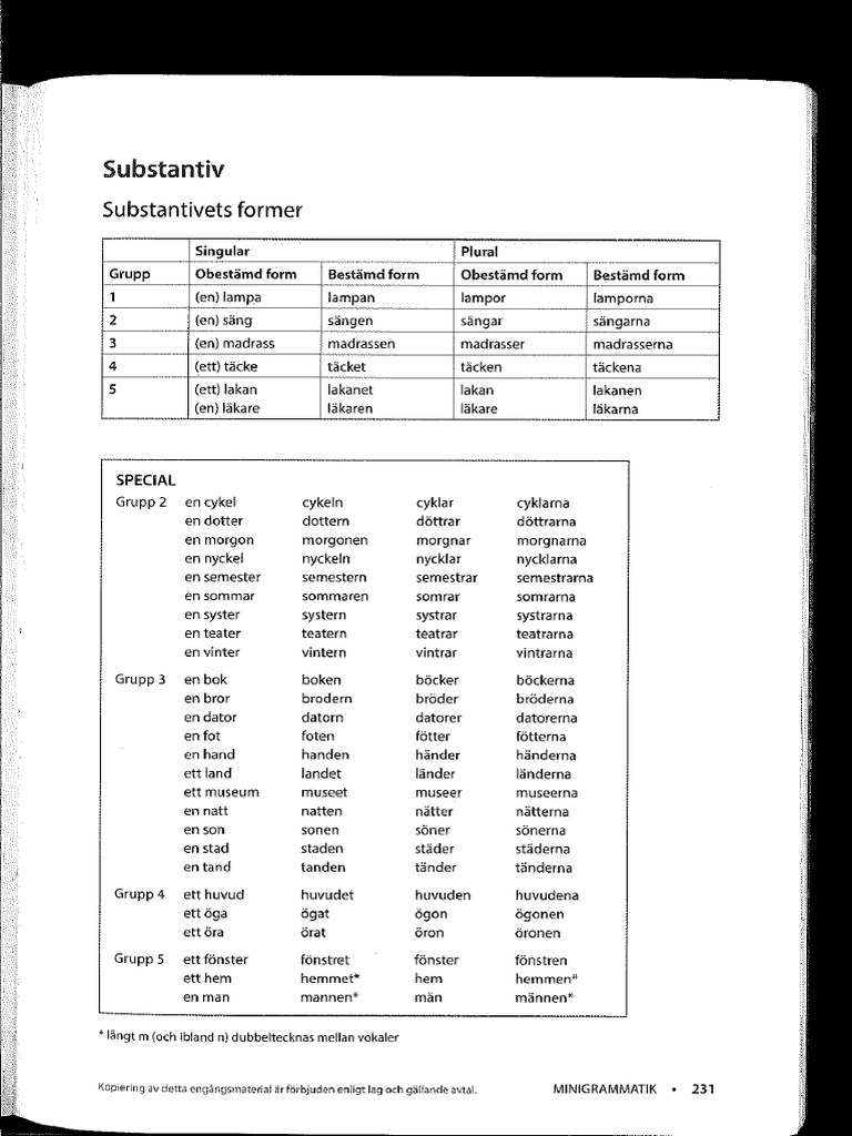 Substantivets Former | PDF