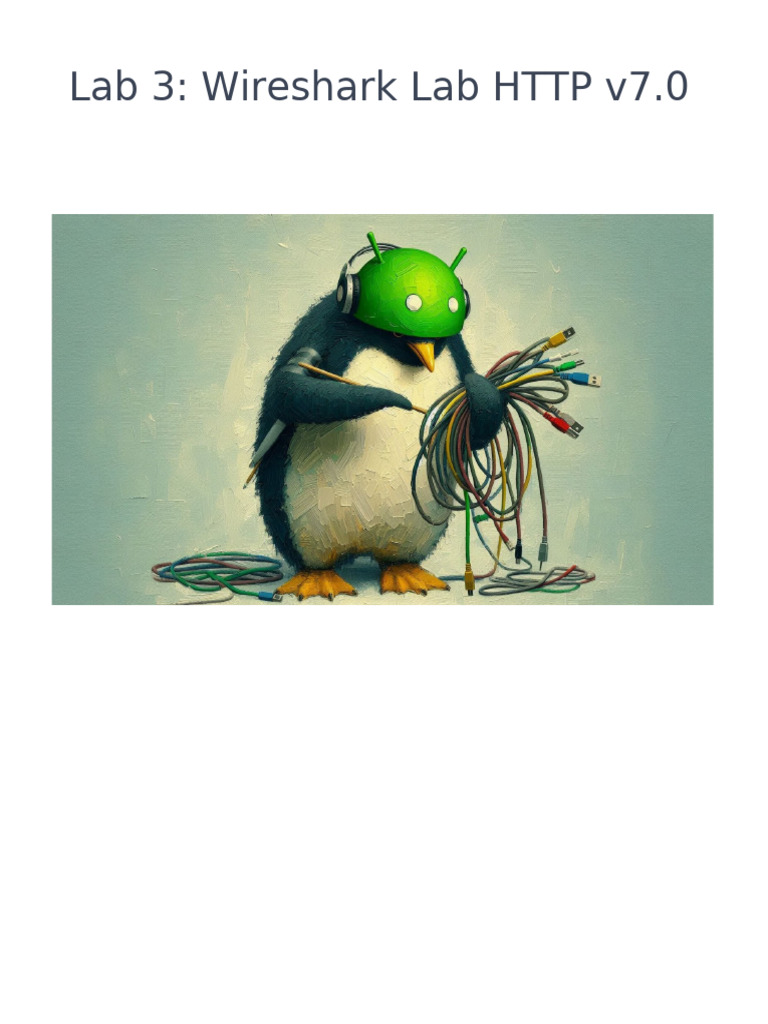 Lab Task 3 243305 | PDF | Web Server | Internet & Web