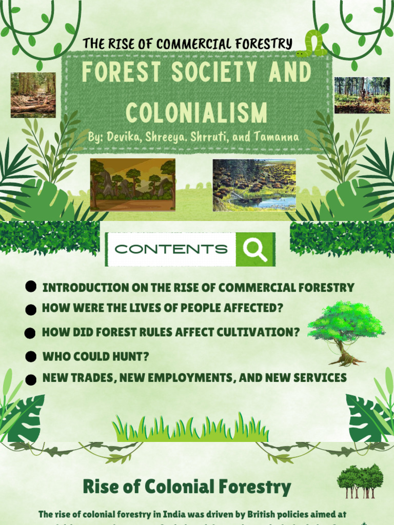 Colonial Forestry's Impact in India | PDF | Forests | Agriculture