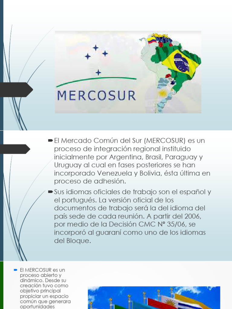 MERCOSUR | PDF | Comercio | Economias