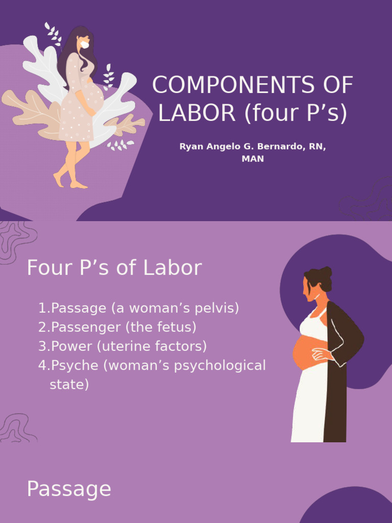 Labor Process Essentials for Nurses | PDF | Childbirth | Uterus