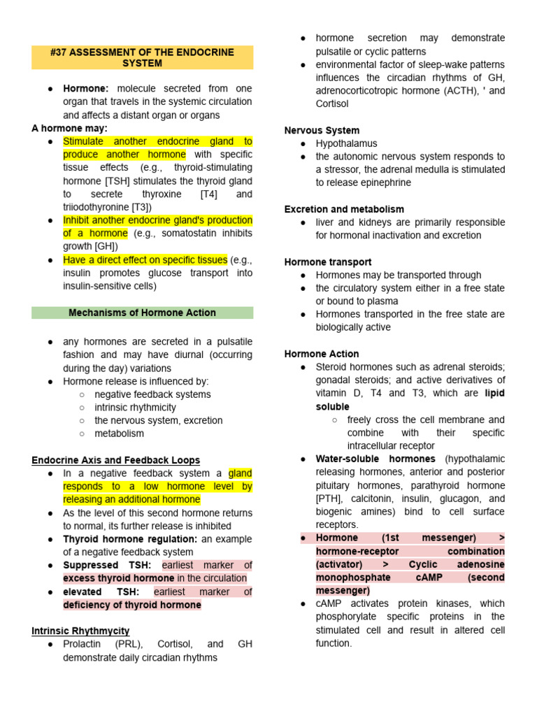 Endocrine System Assessment Guide | PDF | Endocrine System | Thyroid