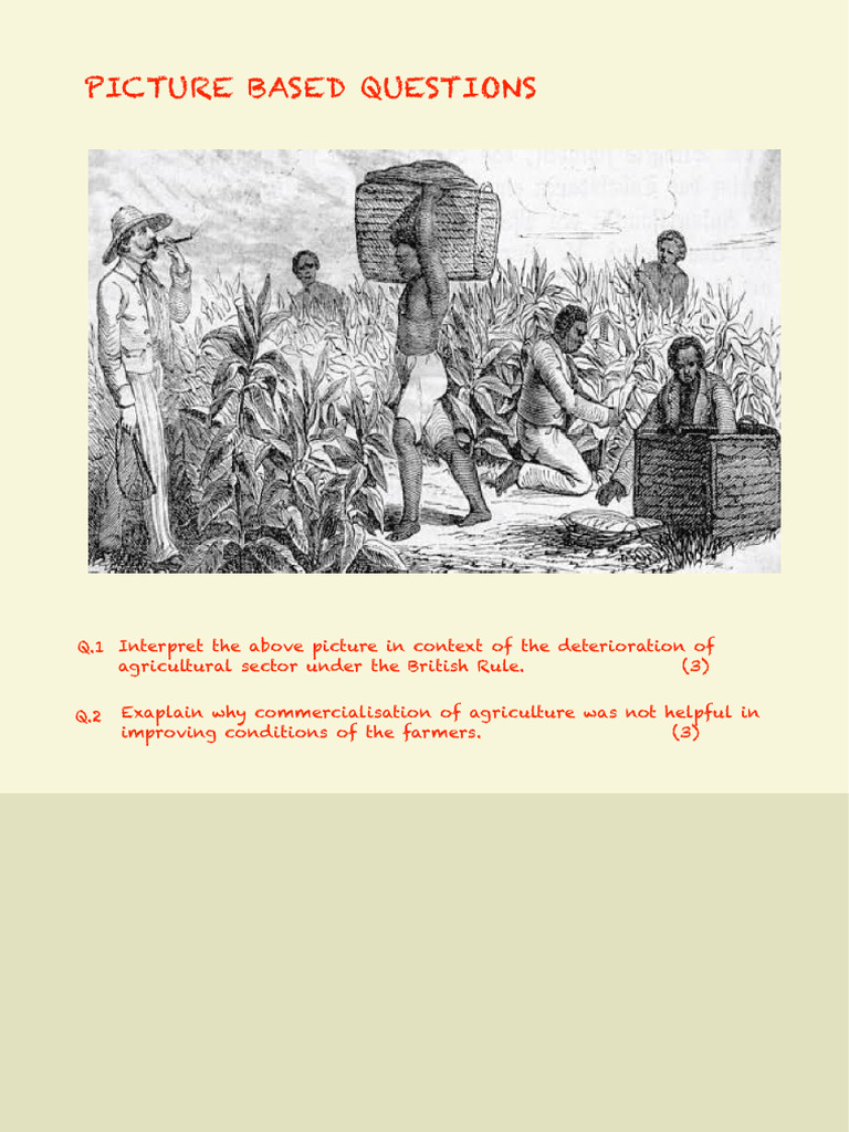 Picture Based Question | PDF