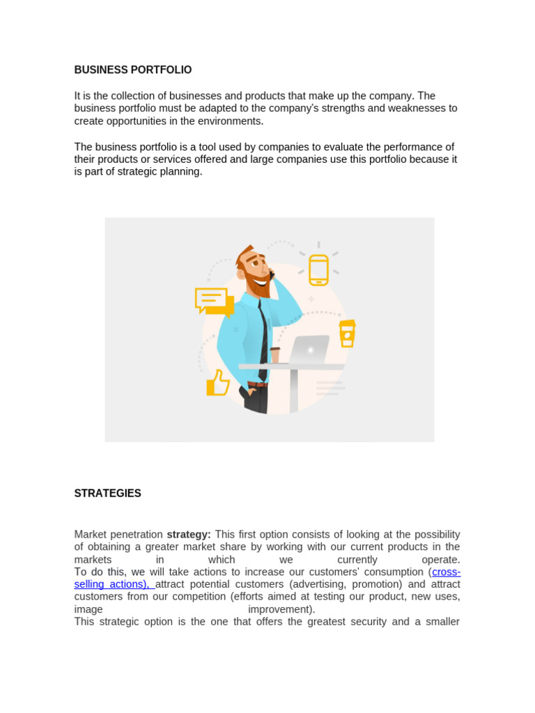 Business Portfolio | PDF | Marketing | Marketing Strategy