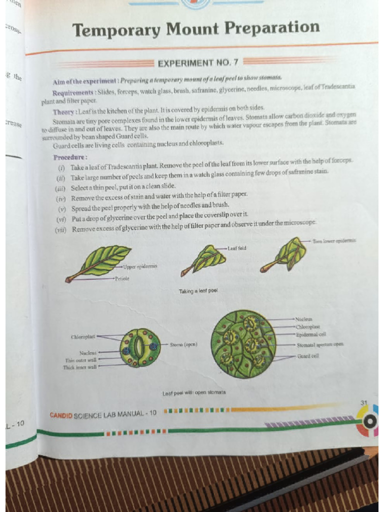 Biology Practical Class- 10 | PDF