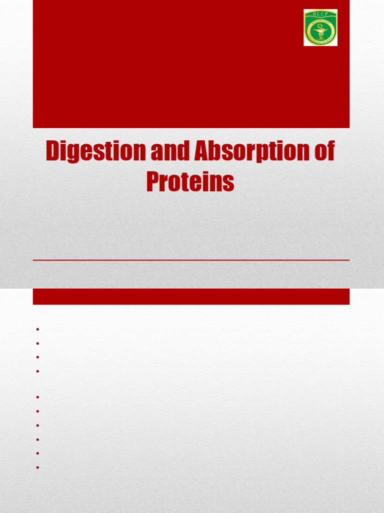 Protein Digestion and Absorption Guide | PDF | Digestion | Stomach