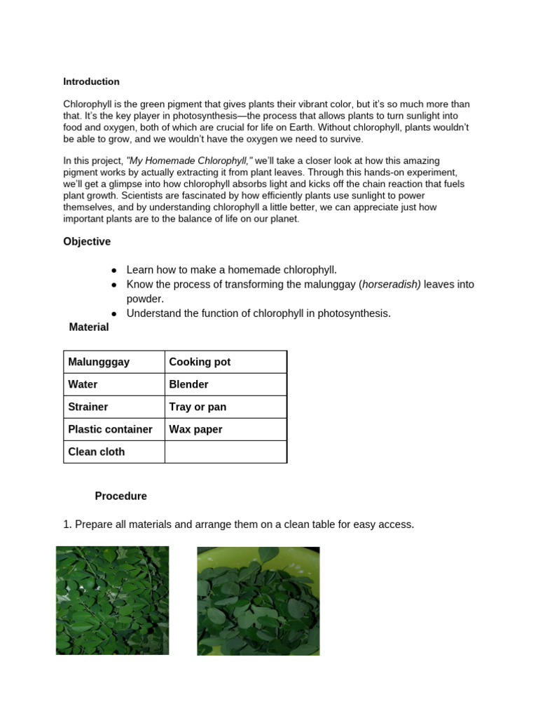 GENBIO | PDF | Chlorophyll | Plants