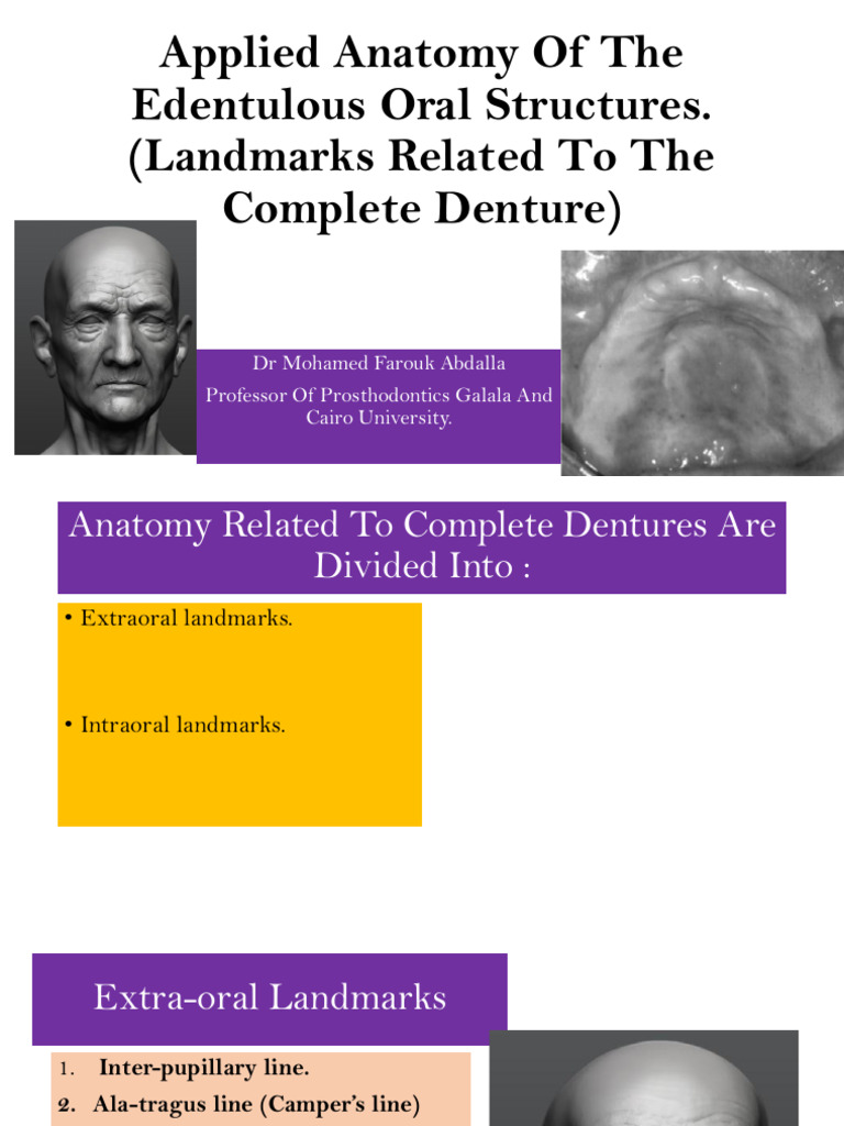Lecture 3 Land Markspptx | PDF | Lip | Dentures