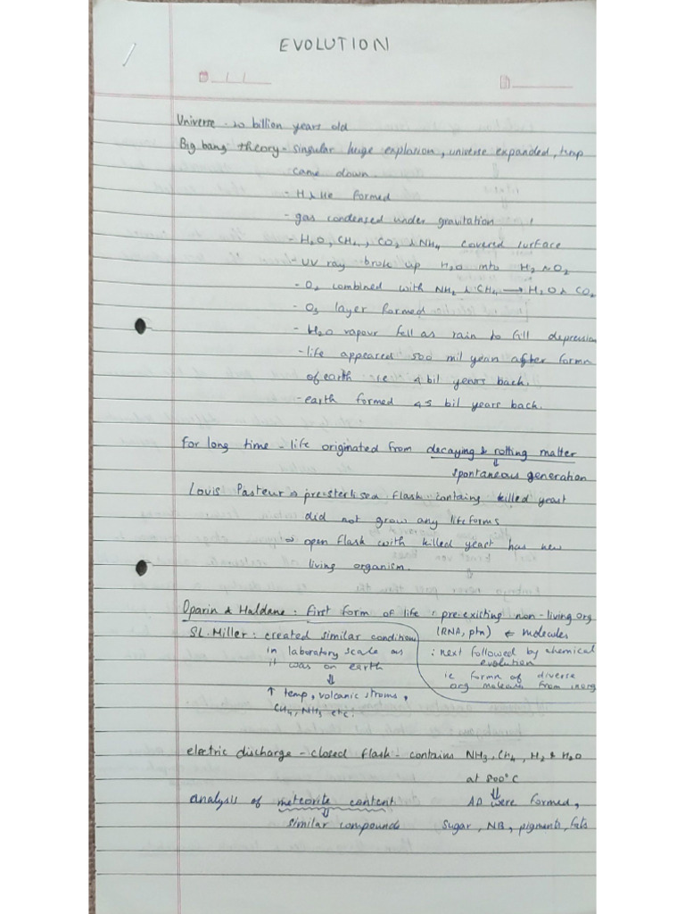 Evolution Class 12 | PDF