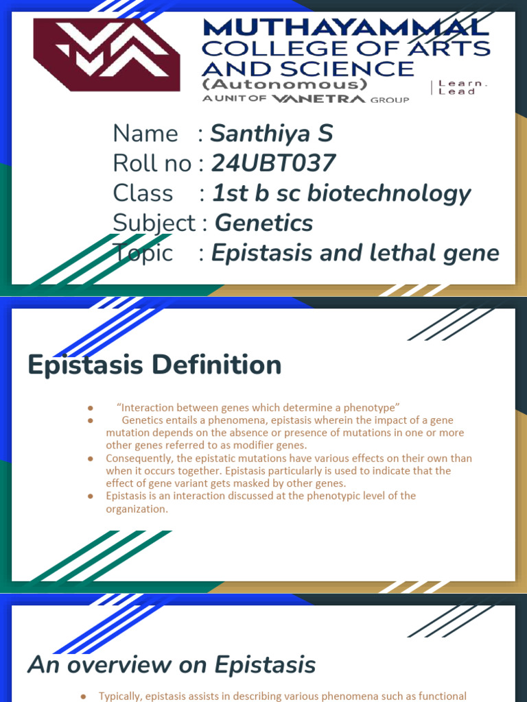 Genetics Assignment | PDF | Dominance (Genetics) | Epistasis