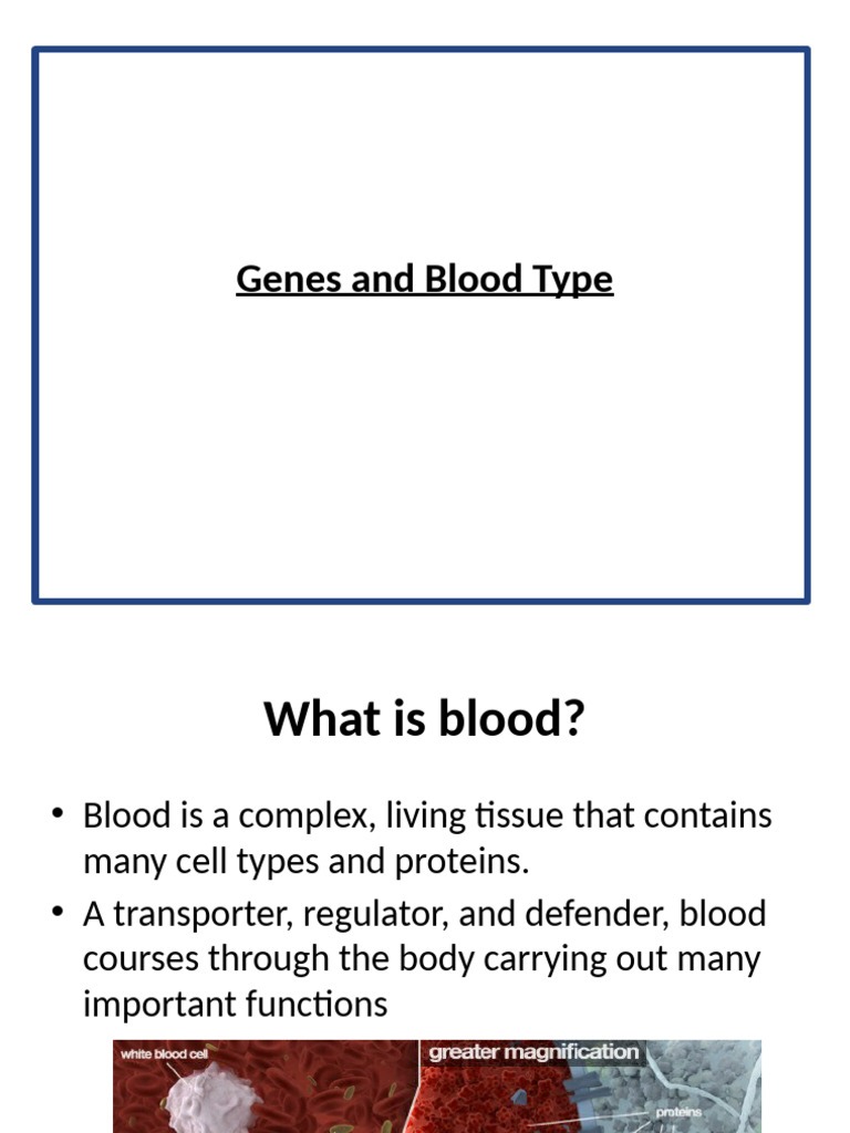 Understanding Blood Types | PDF | Blood Type | Antibody