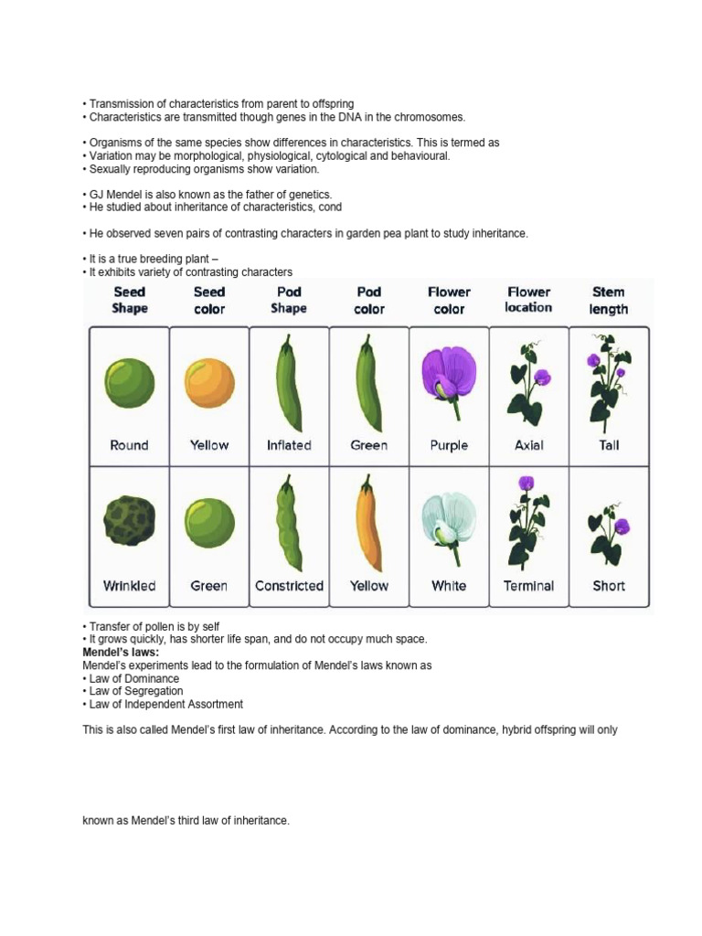 Heredity Ahaguru Notes Class 10 | PDF | Dominance (Genetics) | Heredity