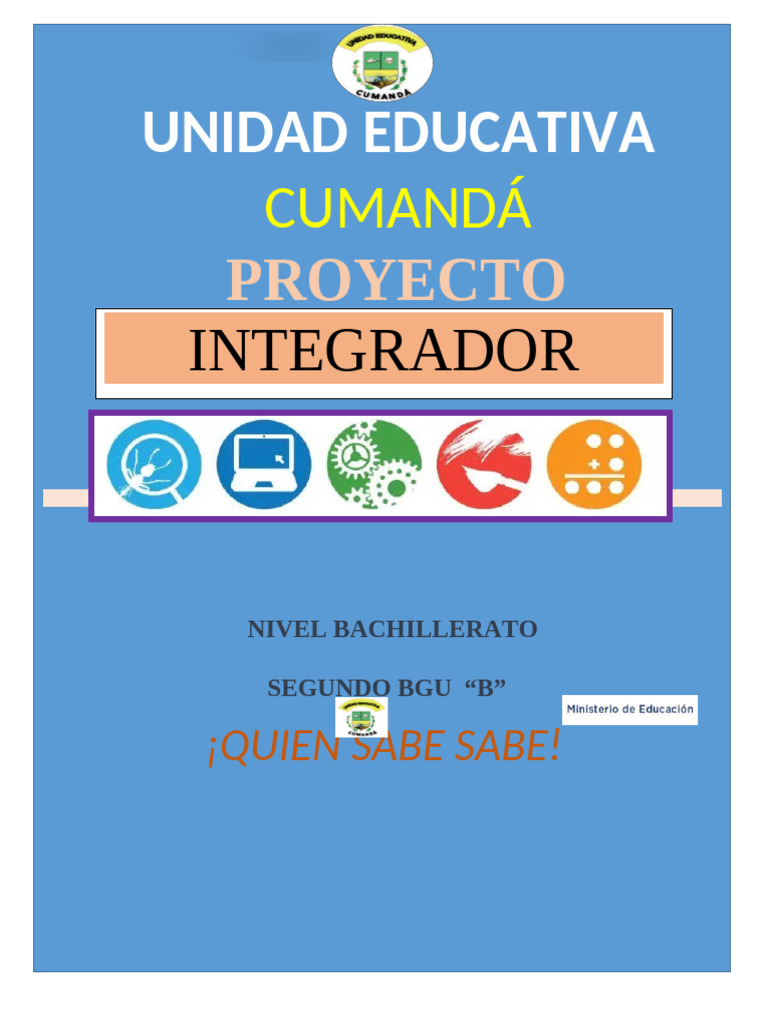 Proyecto Integrador 2do Bgu B Nuevo 1 | PDF | Redox | Función (Matemáticas)