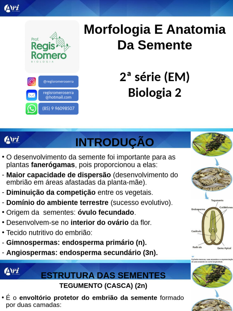 Morfologia e Anatomia Do Fruto e Semente | PDF | Semente | Germinação