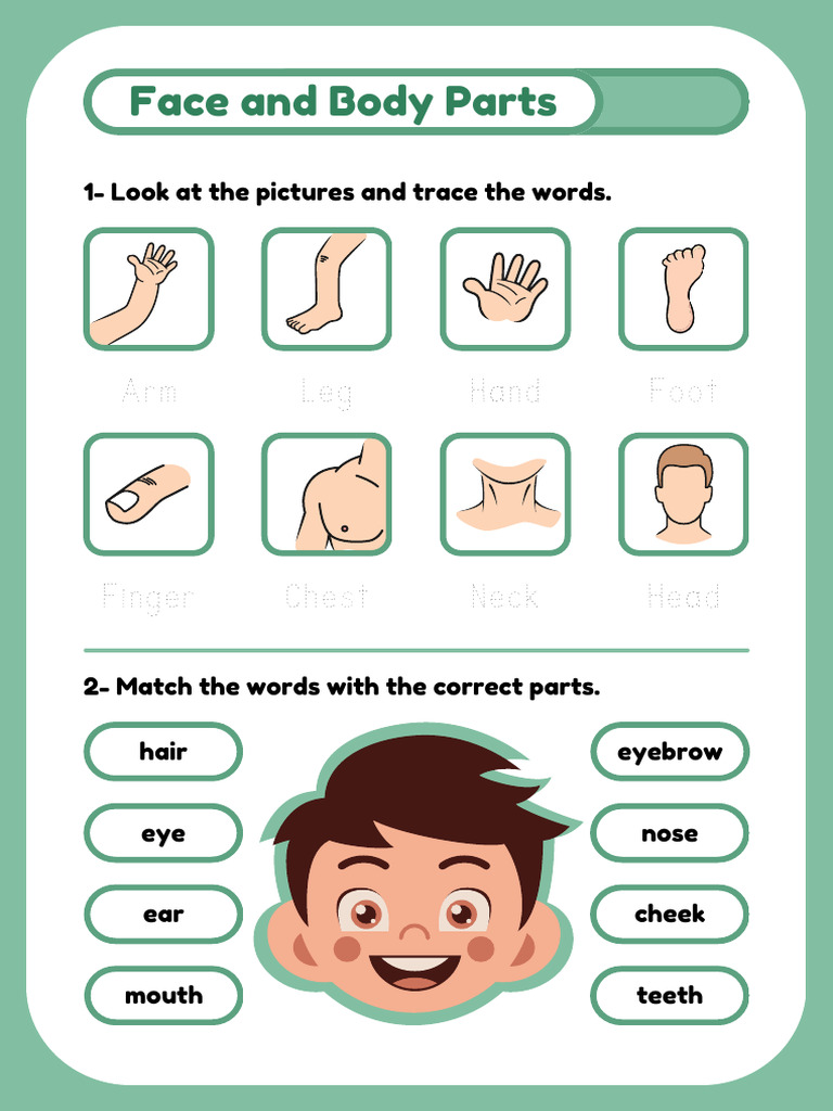 Face and Body Parts Worksheet in Green White Cute Style PDF | PDF