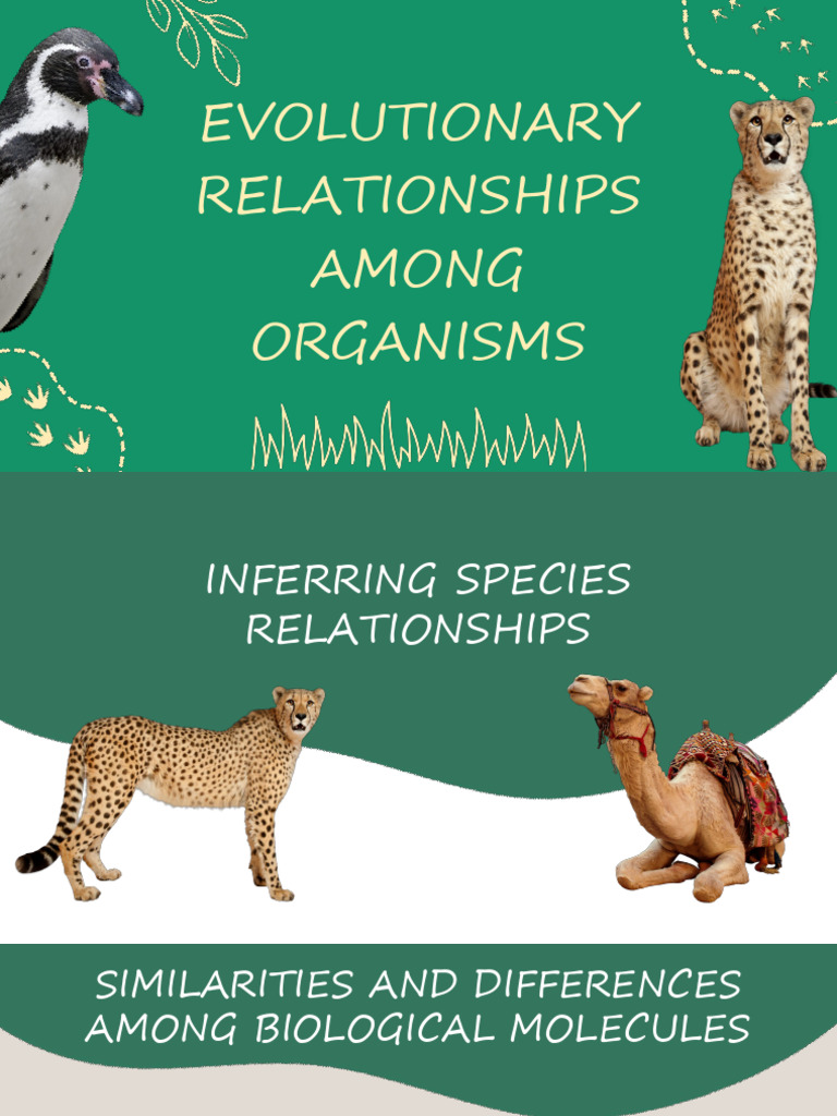 Evolutionary Relationships Among Organisms | PDF | Proteins | Biomolecules