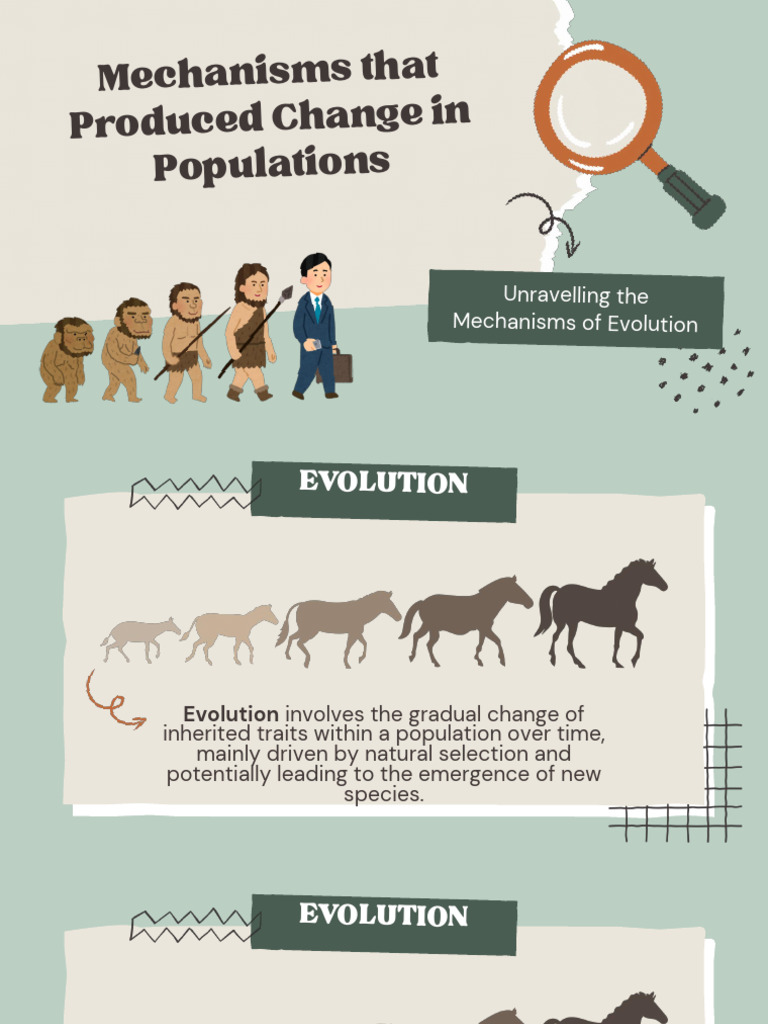 Mechanisms That Produced Change in Populations | PDF | Evolution ...