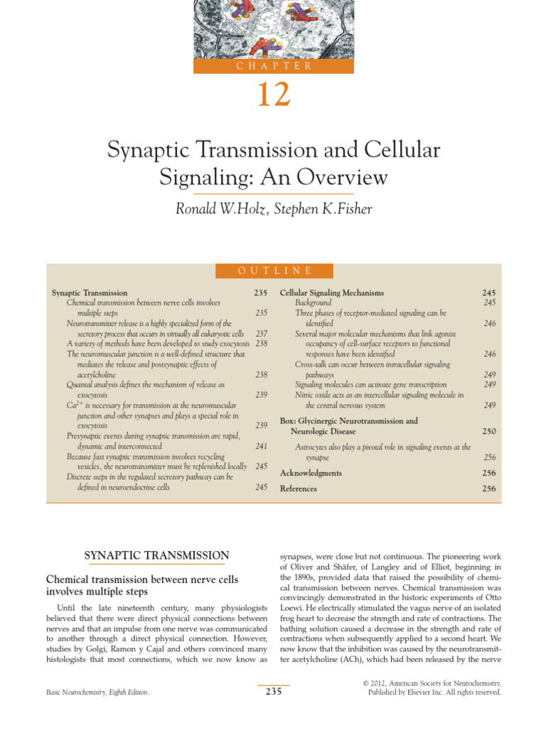 Basic Neurochemistry Principles of Molecular, Cel 12 | PDF | Chemical ...