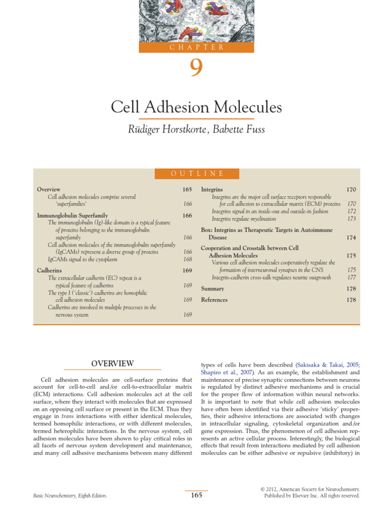 Basic Neurochemistry Principles of Molecular, Cel 09 | PDF | Integrin ...