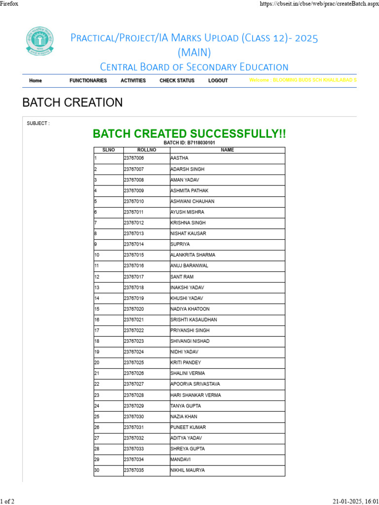 Successful Batch Creation Report | PDF