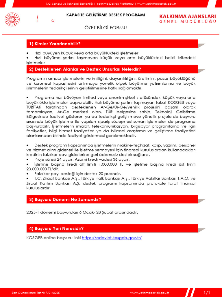 Ozet Kapasite Gelistirme Destek Programi | PDF