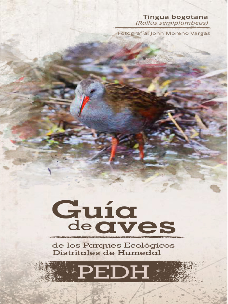 GUIA DE AVES DE HUMEDAL | PDF