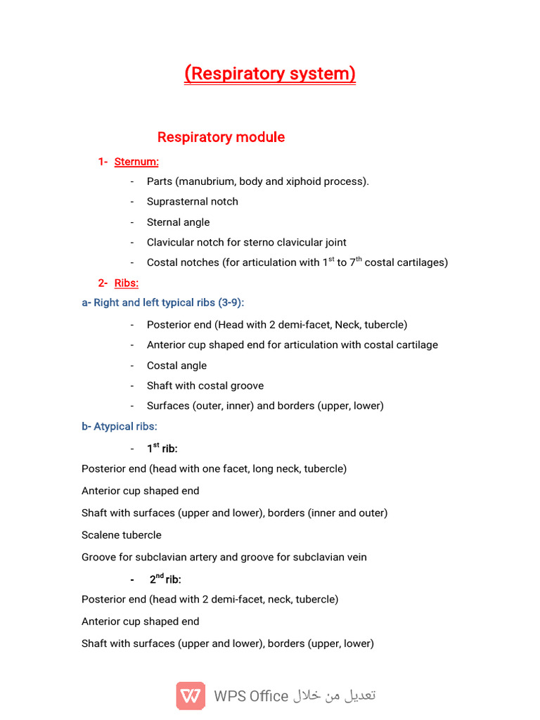 Respiratory System Spots Final 1 | PDF | Lung | Skeletal System