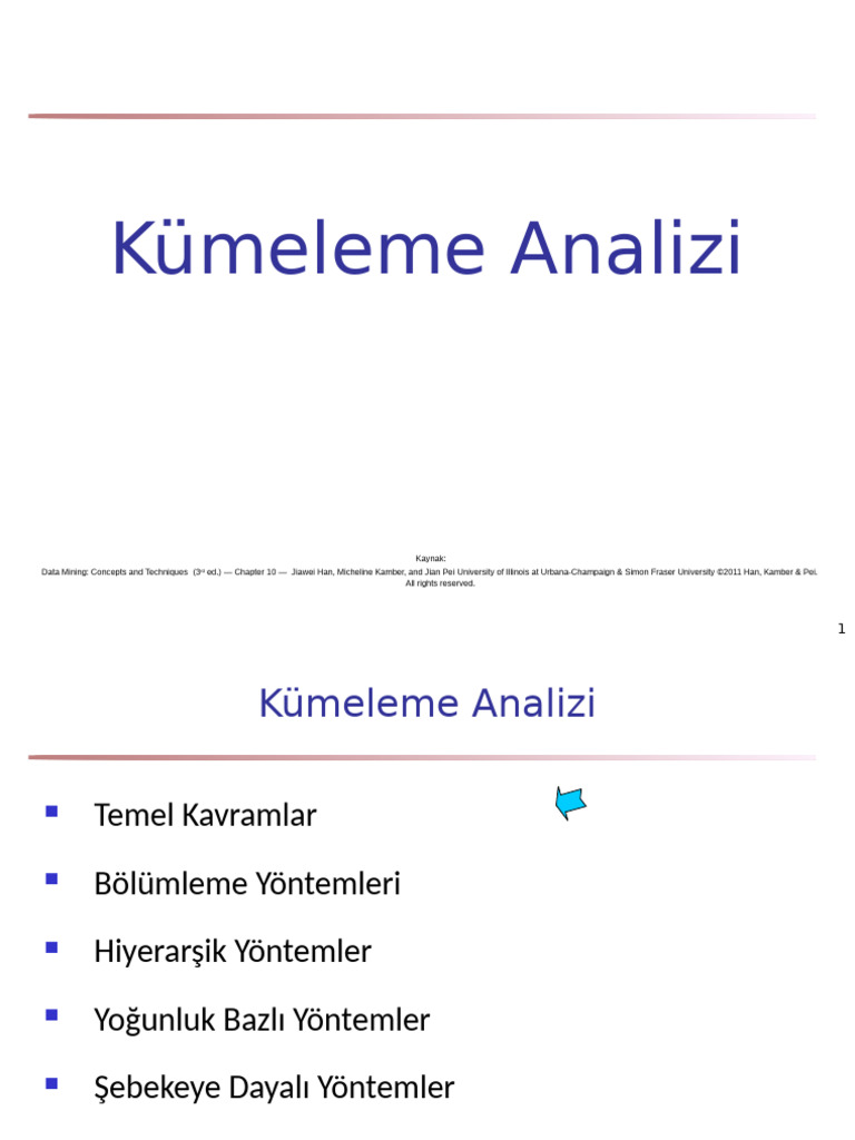Kümeleme Analizi | PDF