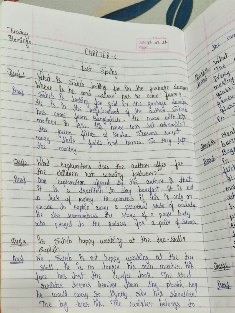 Chapter 2 Flamingo | PDF