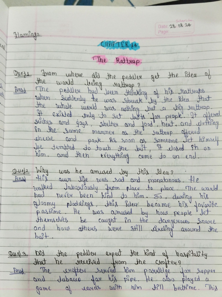 Chapter 4 Flamingo | PDF