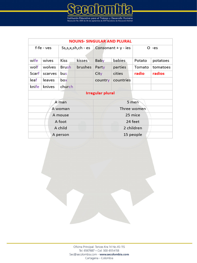 Plural Noun Rules for Learners | PDF