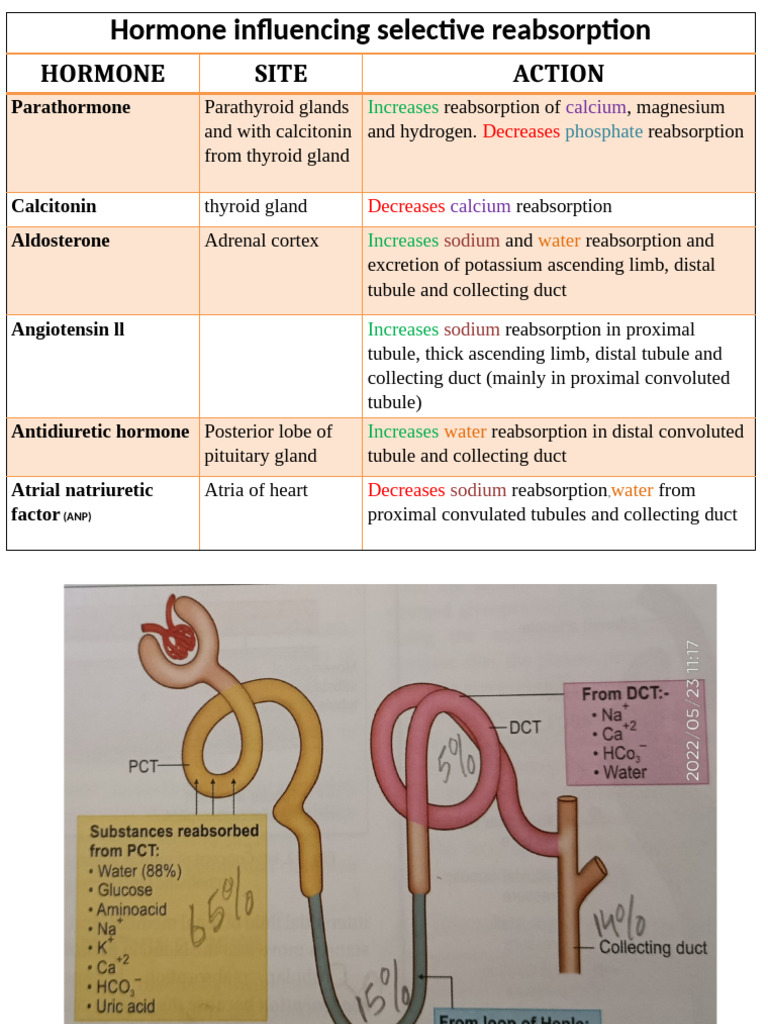 hormone | PDF