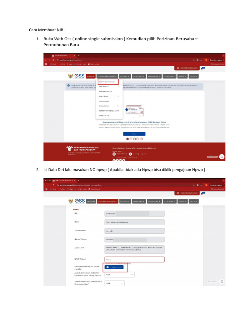 Cara Membuat NIB | PDF