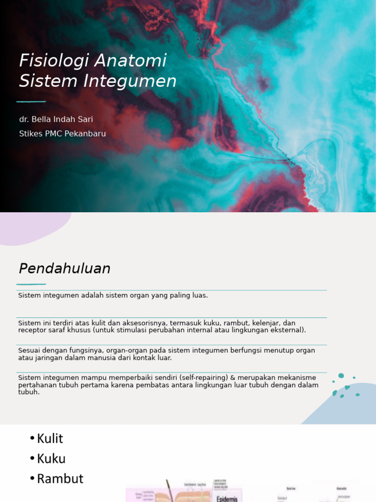 SIstem Integumen | PDF