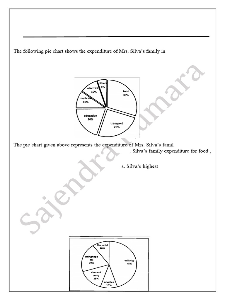 Describing Pie Charts and Graphs Guide | PDF | Cuisine