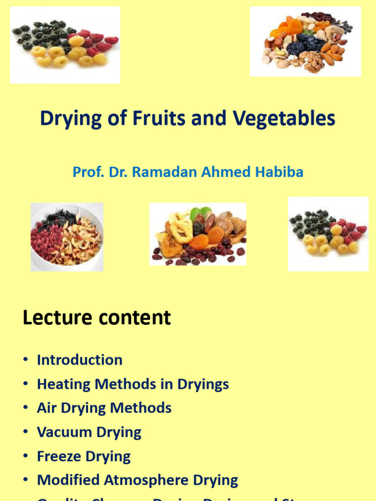 Methods for Drying Fruits and Vegetables | PDF | Heat Transfer ...
