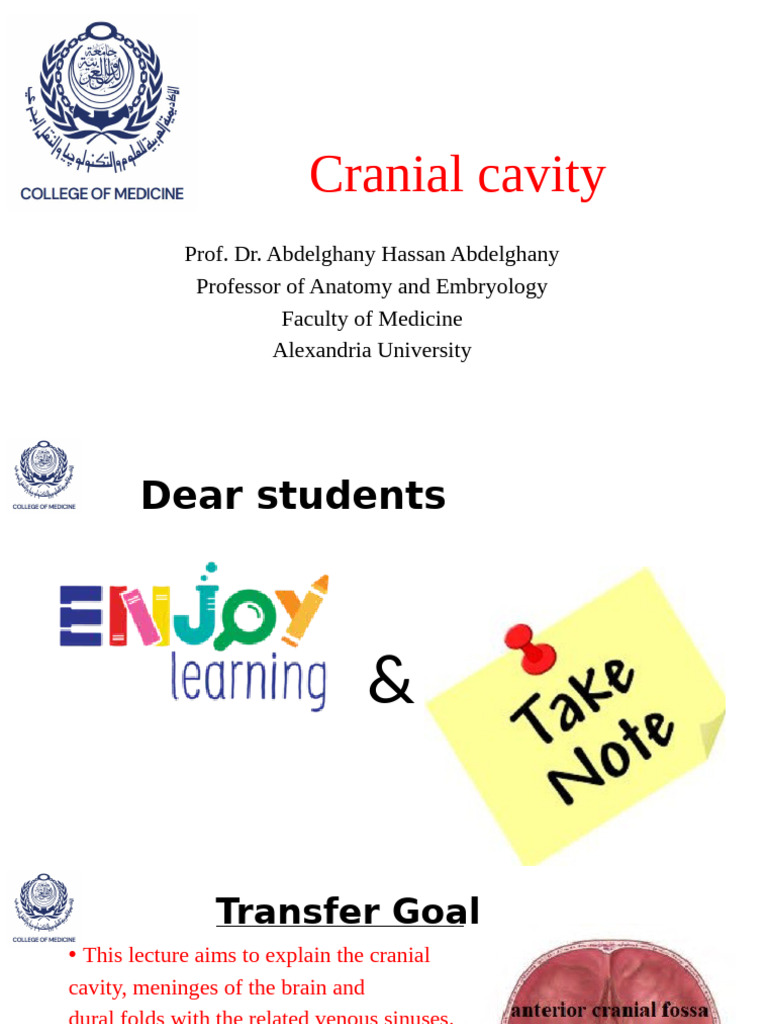L1 Cranial Cavity | PDF | Human Anatomy | Human Head And Neck