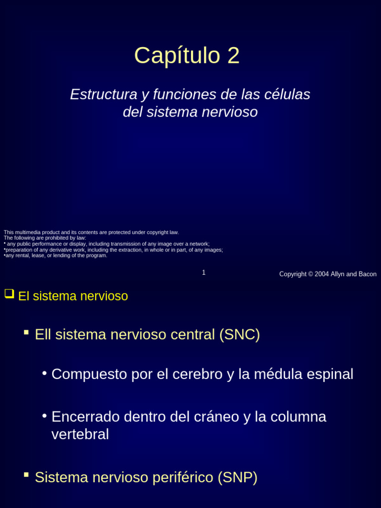 Estructura y Función de Neuronas | PDF | Sinapsis | Potencial de acción