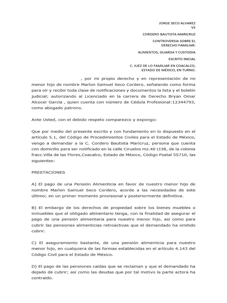 Demanda Familiar: Pensión y Custodia | PDF | Pensión alimenticia ...