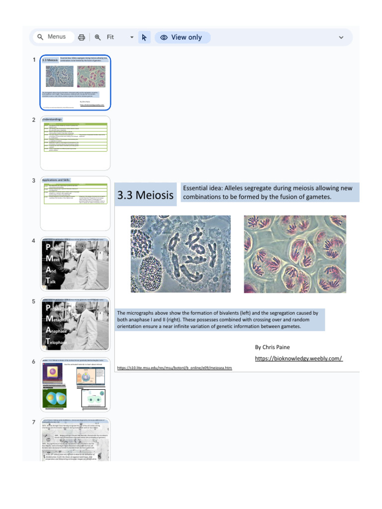 Biok - 3.3 - Meiosis - PPTX - Google Slides | PDF | Meiosis | Ploidy
